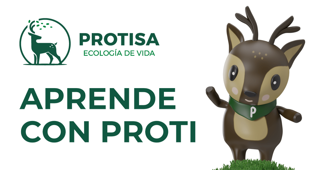 Protisa – Aprende con Proti – Sopa de letras